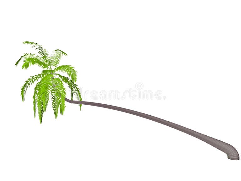 Palm Tree Bending Stock Illustrations – 53 Palm Tree Bending Stock ...