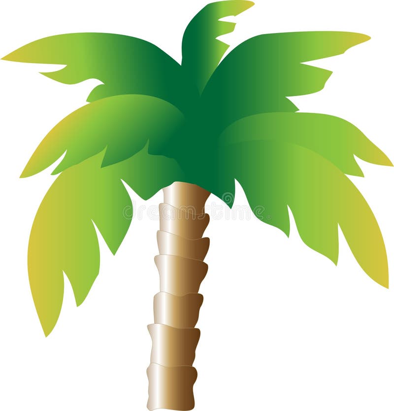Oil Palm Tree stock illustration. Illustration of nature - 39453656