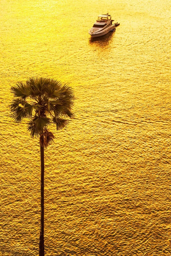 Palm Tree Against Boat in Sunset Light Stock Photo - Image of beach ...