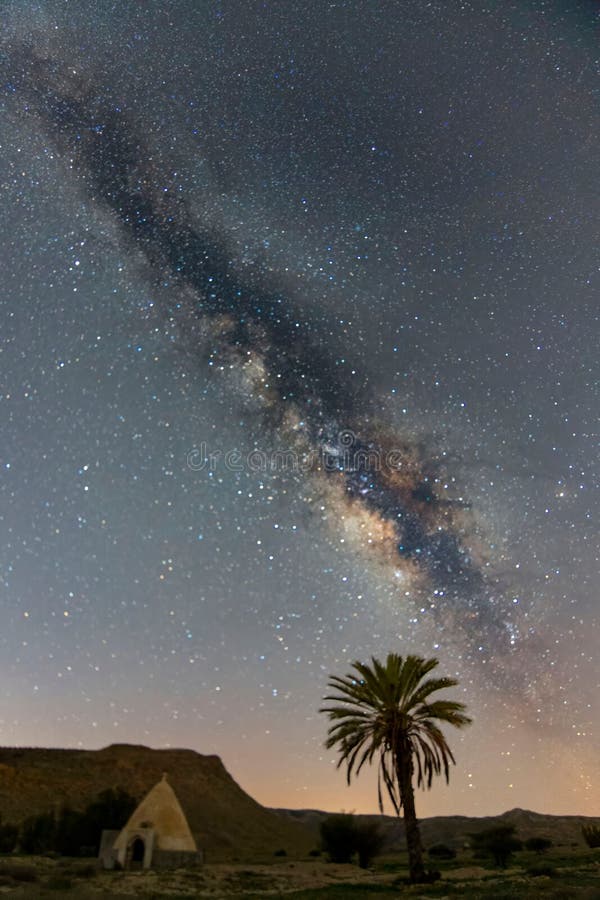 Palm Tree Against the Milky Way Galaxy Stock Photo - Image of universe ...