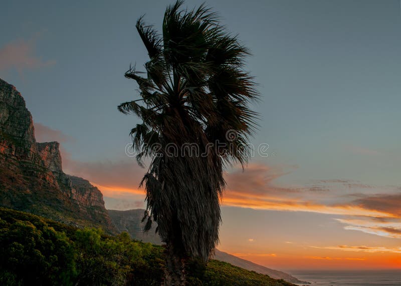 133 Clif Sunset Stock Photos - Free & Royalty-Free Stock Photos from ...