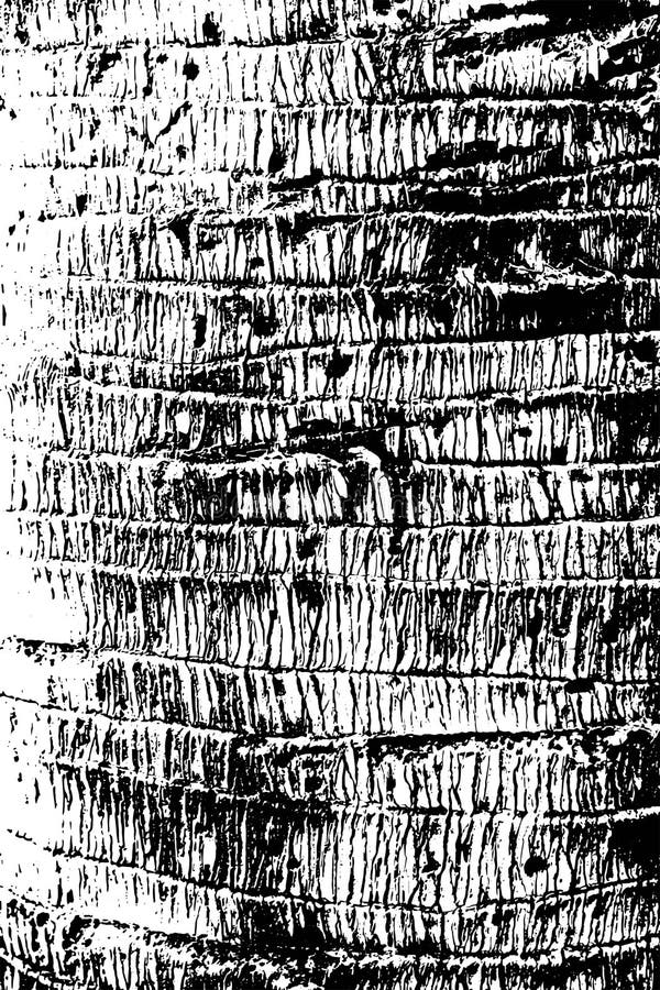 Palm tree bark texture stock vector. Illustration of plant - 331417747