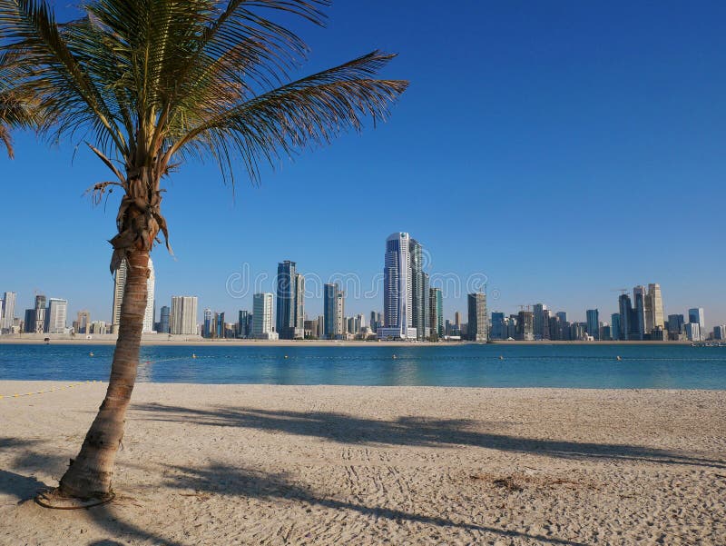 Palm Tree on the Beach in Dubai Stock Photo - Image of futuristic ...