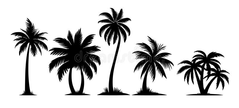 Palm Tree Black Coconut Icon. Palmetto Beach Black Summer Palm Tree ...