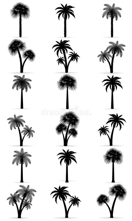 Palm Tree Outline Stock Illustrations – 30,475 Palm Tree Outline Stock ...
