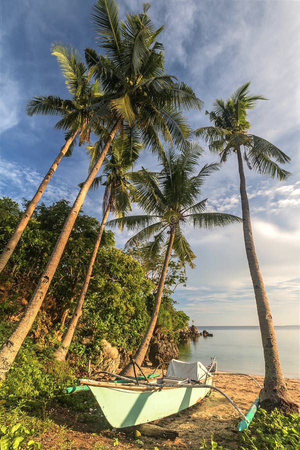 A Palm Tree and Boat in Front of a Body of Water on Cebu Island in ...