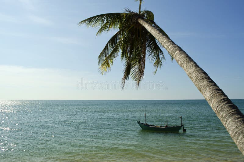 Palm tree & Boat editorial stock image. Image of philippines - 77740664