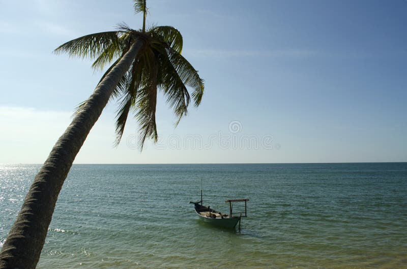 Palm Tree and Boat on the Water Stock Image - Image of boat, boracay ...