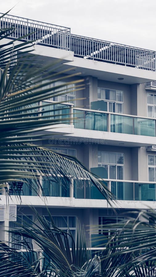 Palm Tree Branches Level Windows Multi-storey Building Modern Green ...