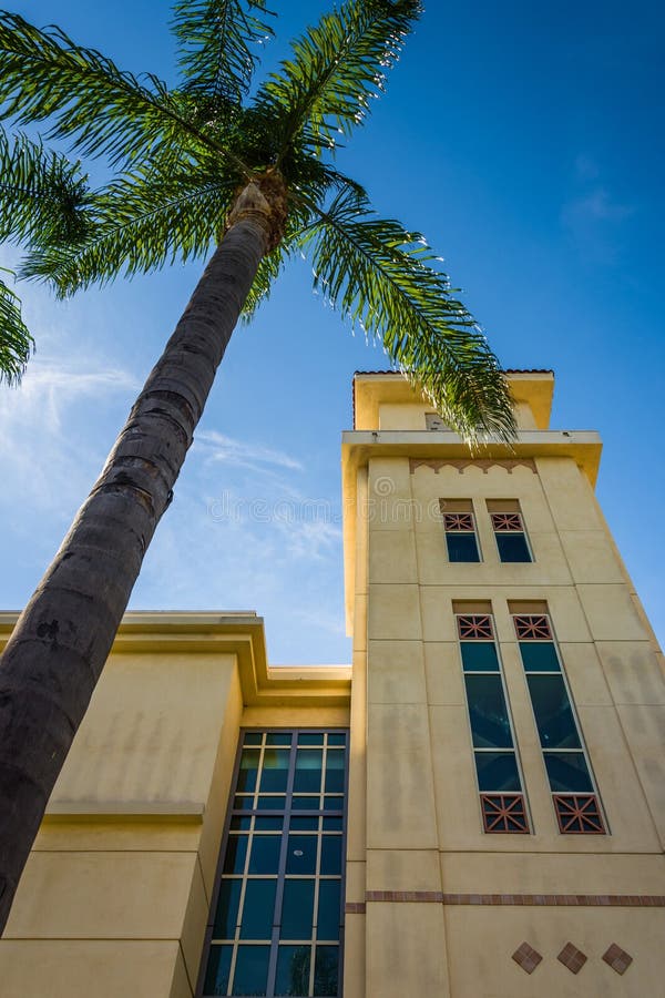 Palm Tree and Building at Chapman University Stock Image - Image of ...