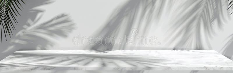 Palm Tree Casting Shadow on Wall Stock Illustration - Illustration of ...