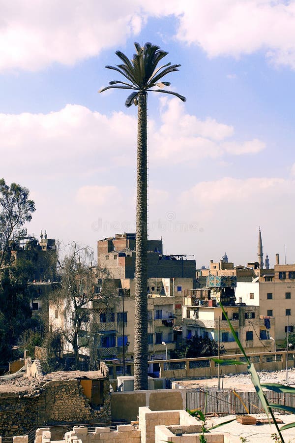144 Palm Tree Cell Tower Stock Photos - Free & Royalty-Free Stock ...