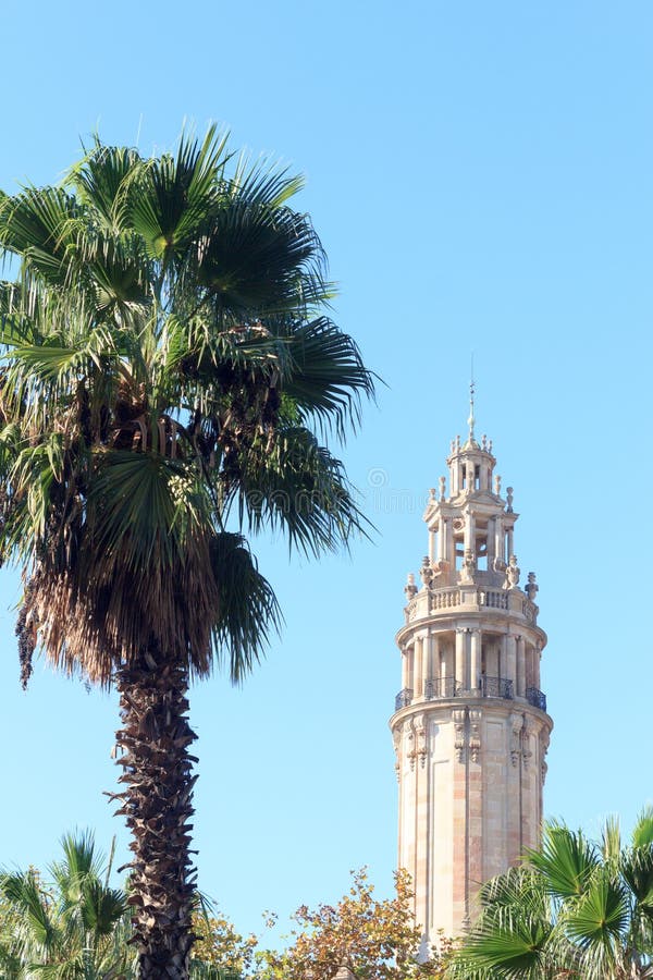 Palm Tree and Church Barcelona Cathedral Bell Tower Stock Image - Image ...