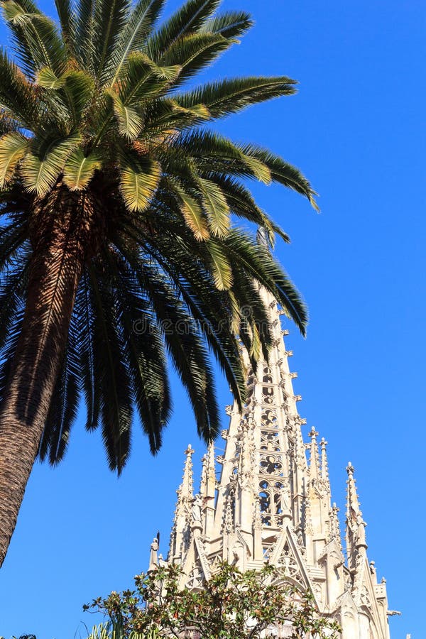Palm Tree and Church Barcelona Cathedral Steeple Tower Stock Image ...