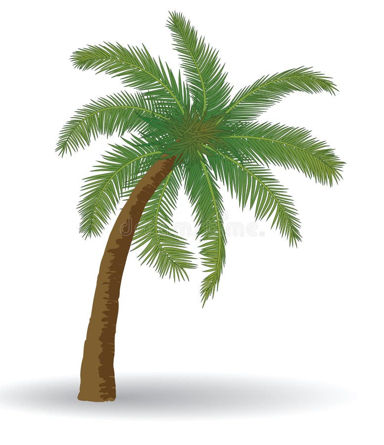 Cartoon Coconut Tree Stock Illustrations – 13,728 Cartoon Coconut Tree ...