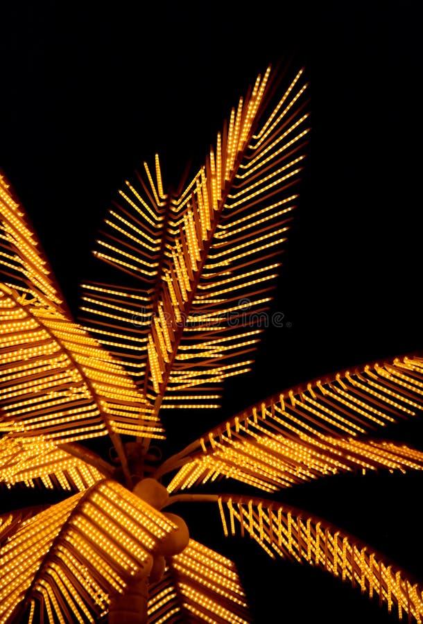Palm Tree Decorative with Electric Stock Image - Image of flora ...