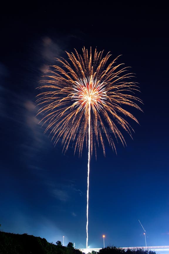 Palm Tree Firework stock image. Image of burst, explosion - 16716785