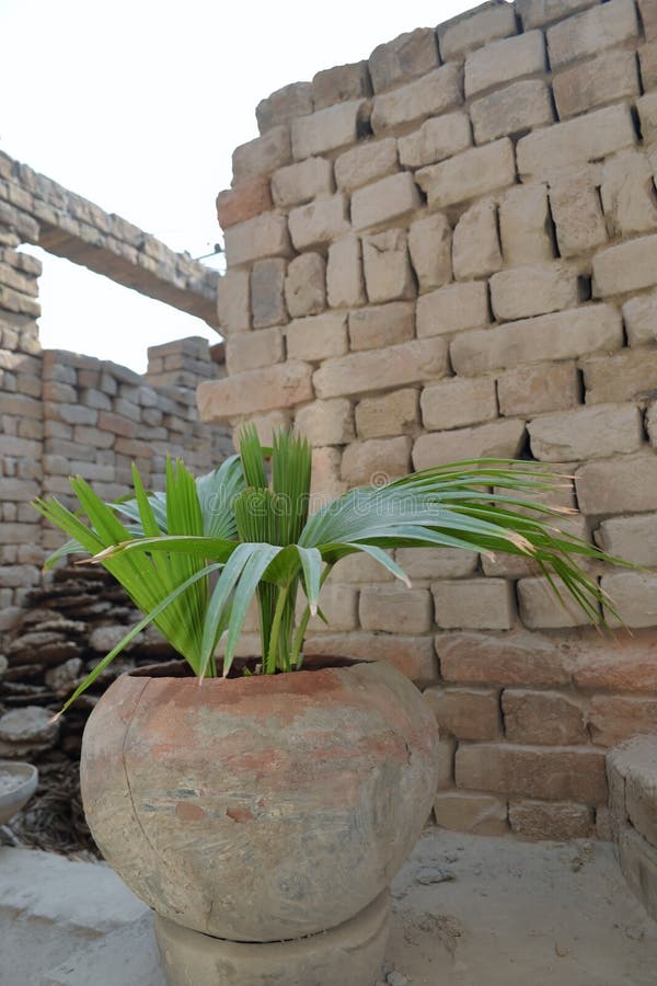 Palm Tree Flowerpot Made with Mud Clay Stock Photo - Image of stonewall ...