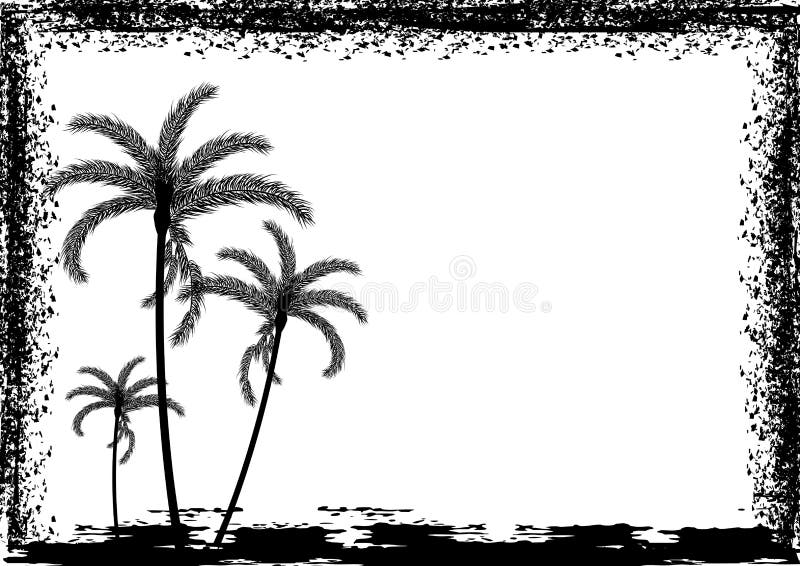 13+ Coconut tree frame border Free Stock Photos - StockFreeImages