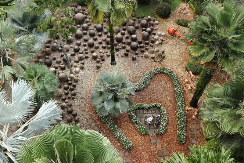 Heart Design Palm Tree Tropicol Garden Stock Photos - Free & Royalty ...