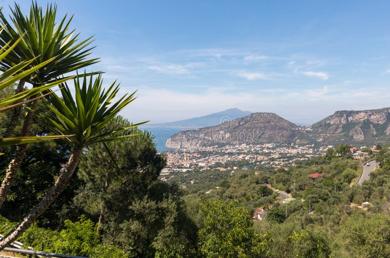 Palm Tree with the Gulf of Naples and Vesuvius in the Background Stock ...