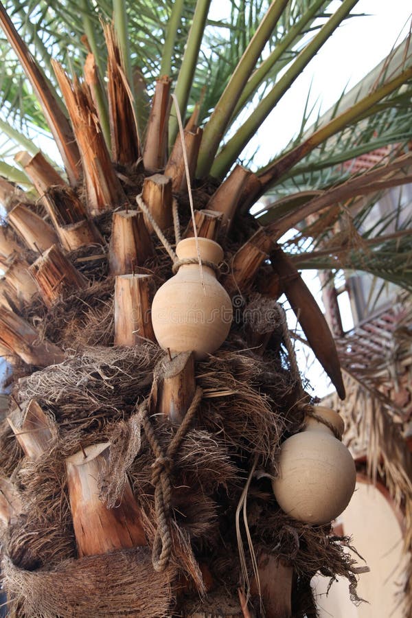 Palm Tree with Handcrafted Jars from Nizwa Oman Stock Image - Image of ...