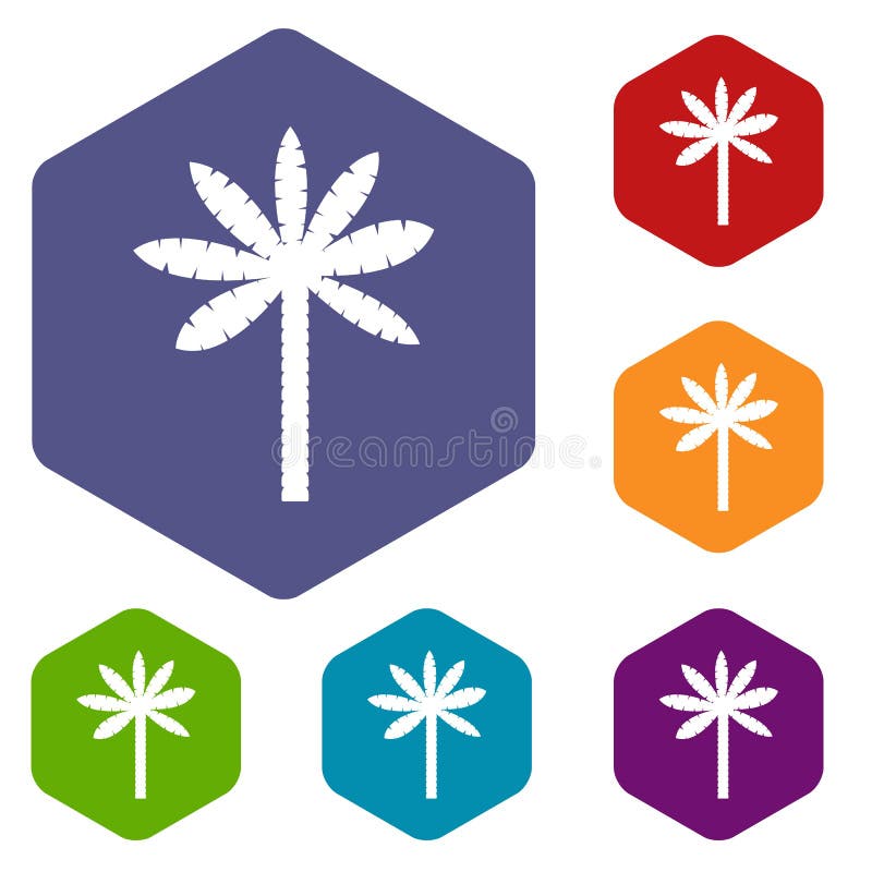 Palm Tree Icons Set Hexagon Stock Vector - Illustration of growth ...