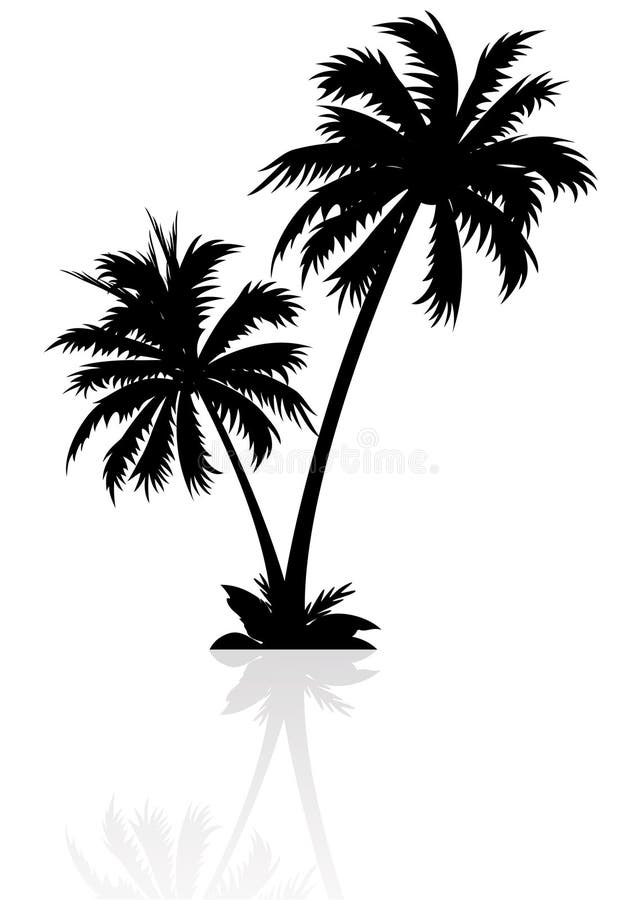 Palm tree stock vector. Illustration of ocean, tree, florida - 5923808