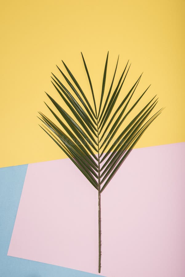 668 Palm Tree Pop Art Photos - Free & Royalty-Free Stock Photos from ...