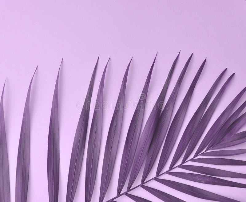 Palm Tree Leaf in Trendy Color. Stock Photo - Image of abstract, palm ...