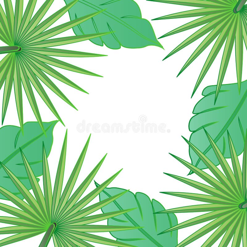 Palm Tree Leaf Border Frame Background Vector Image Stock Vector ...