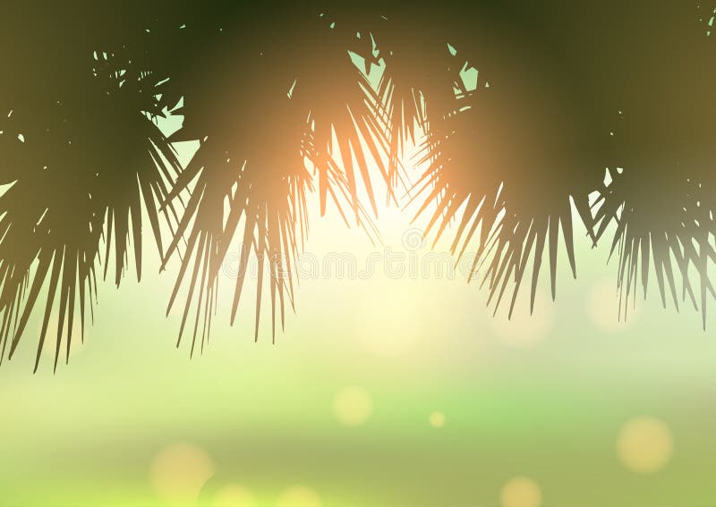 Palm Tree Leaves Against Bokeh Light Background Stock Vector ...