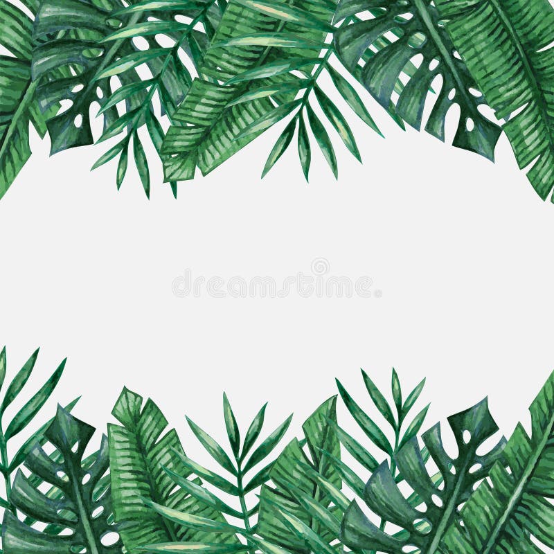 Palm Tree Leaves Background Template. Stock Vector - Illustration of ...