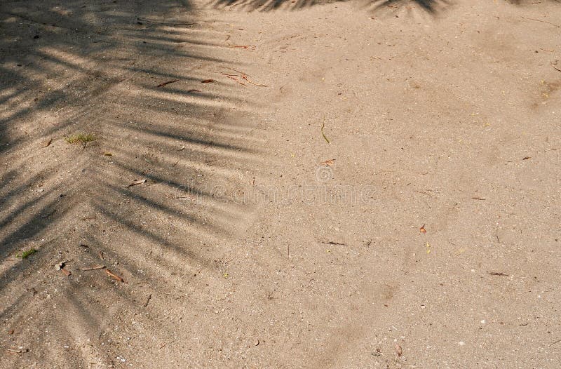 1,518 Palm Shade Sand Background Stock Photos - Free & Royalty-Free ...