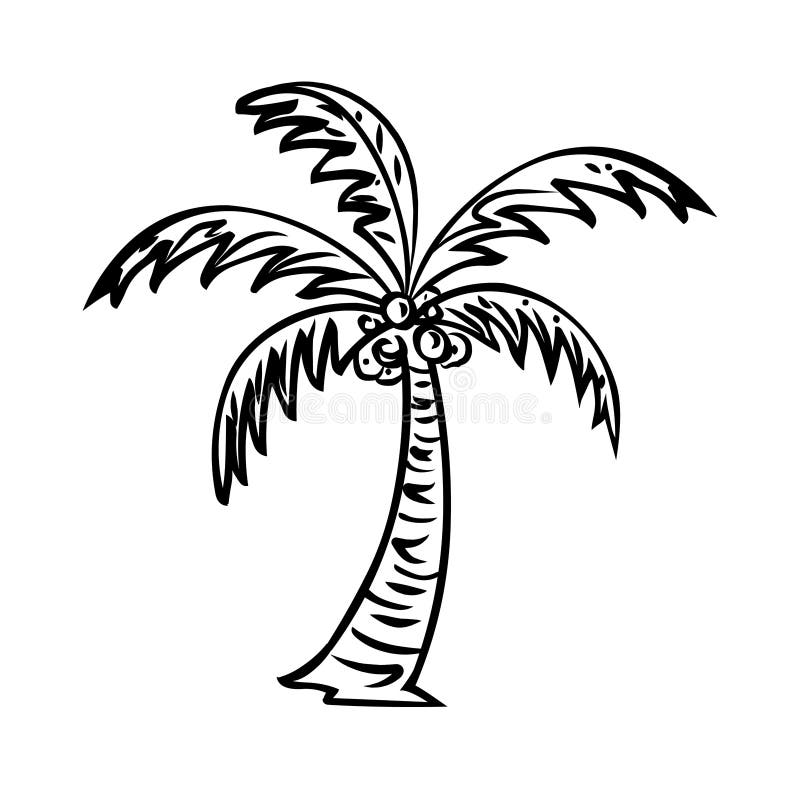 Palm Tree Line Drawing Illustration Stock Vector - Illustration of ...