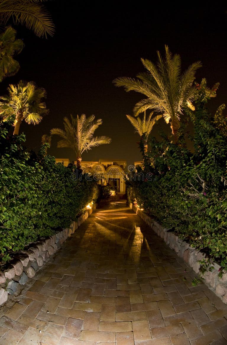 15,013 Pathway Night Stock Photos - Free & Royalty-Free Stock Photos ...