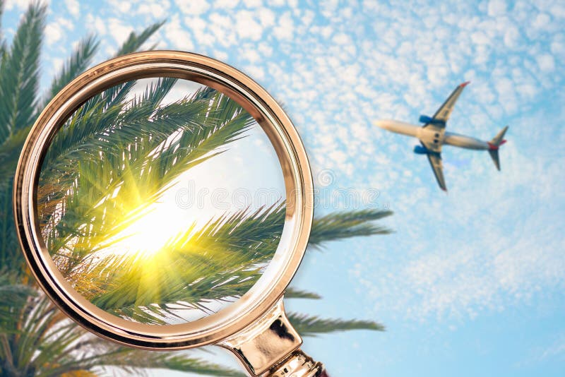 Palm Tree in the Magnifying Glass. Stock Photo - Image of island, lupe ...