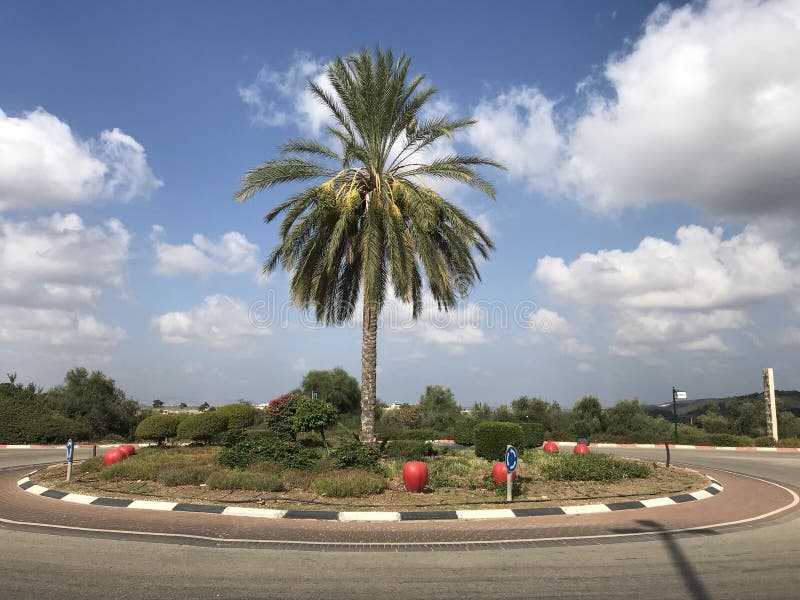 222 Roundabout Tree Middle Stock Photos - Free & Royalty-Free Stock ...