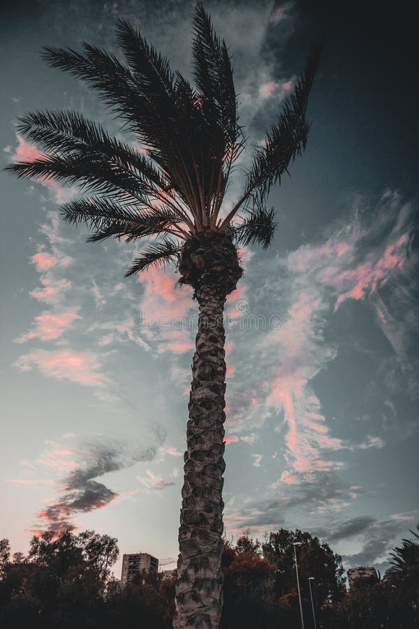 Explendid Contrast Stock Photos - Free & Royalty-Free Stock Photos from ...