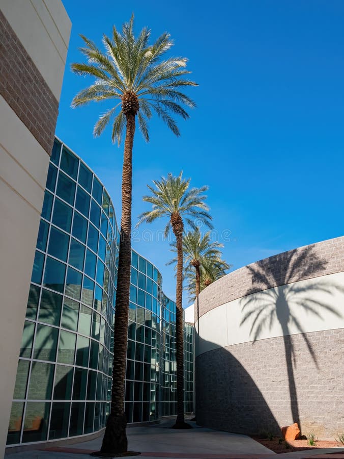 Palm Tree and Modern Building in the Campus of UNLV Stock Image - Image ...