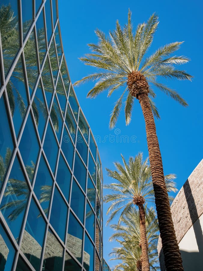 Palm Tree and Modern Building in the Campus of UNLV Stock Image - Image ...