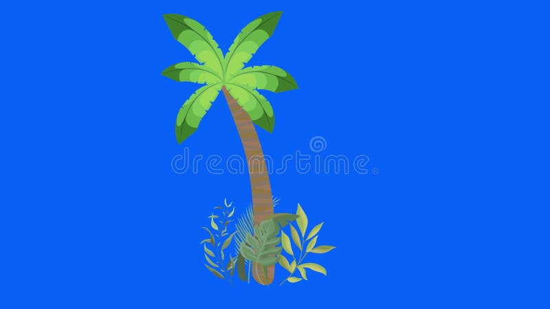 Palm Tree Moving by Wind, Chroma Key, Seamless Loop Animation Stock ...