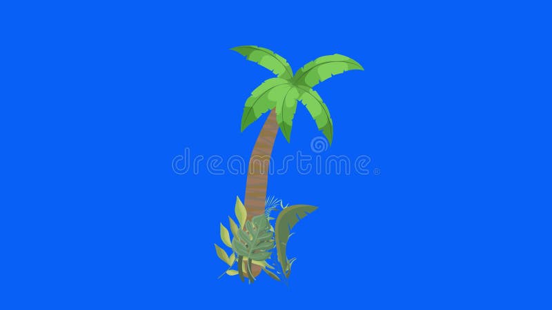 Palm Tree Moving by Wind, Chroma Key, Seamless Loop Animation Stock ...