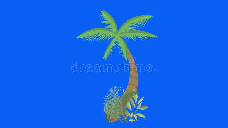 Palm Tree Moving by Wind, Chroma Key, Seamless Loop Animation Stock ...