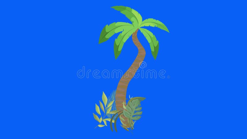 Palm Tree Moving by Wind, Chroma Key, Seamless Loop Animation Stock ...