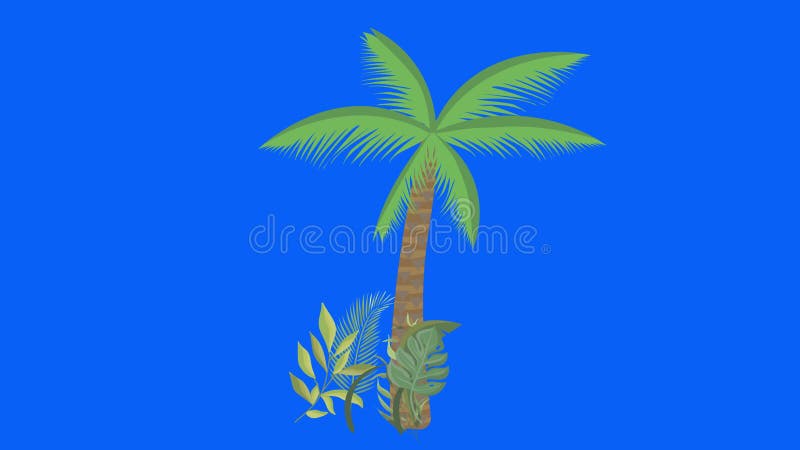 Palm Tree Moving by Wind, Chroma Key, Seamless Loop Animation Stock ...