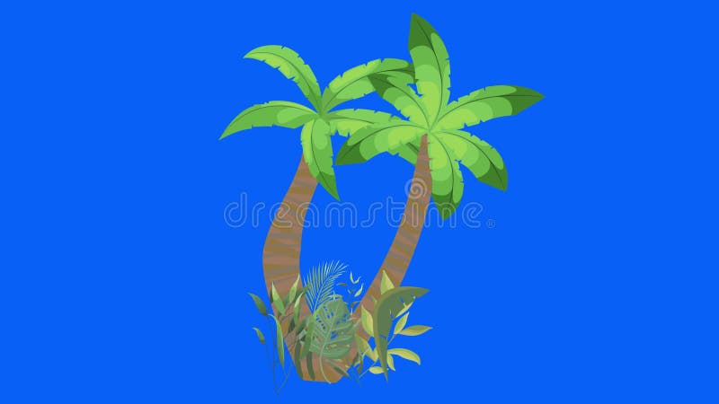 Palm Tree Moving by Wind, Chroma Key, Seamless Loop Animation Stock ...