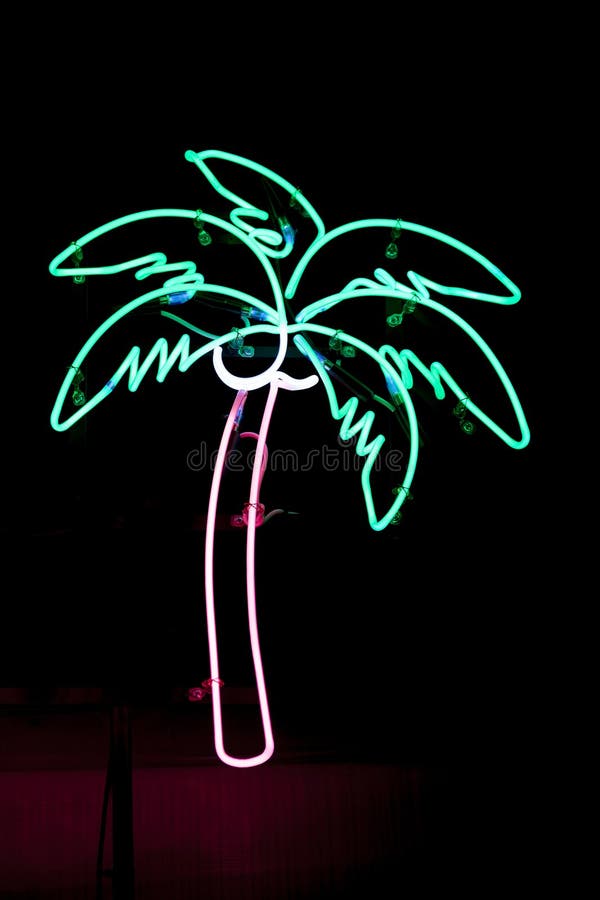 Palm tree - Neon light stock image. Image of close, equipment - 269570083