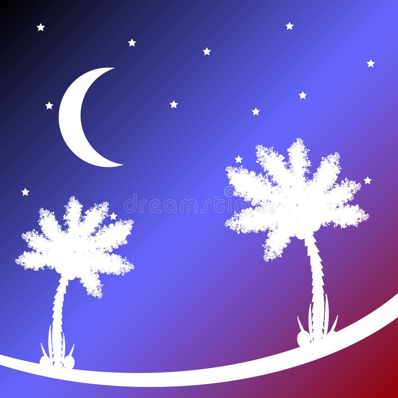 Palm tree at night. stock illustration. Illustration of evening - 65280822