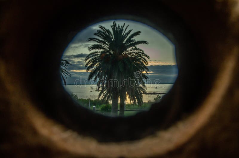 Palm Tree Observed from the Hole of a Door Stock Photo - Image of ...